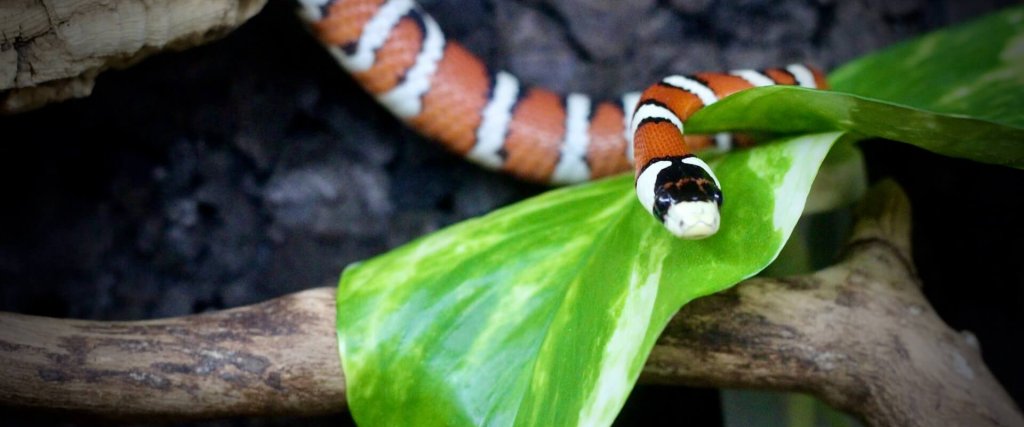 Fast 3D Data Analysis with this amazing Python library