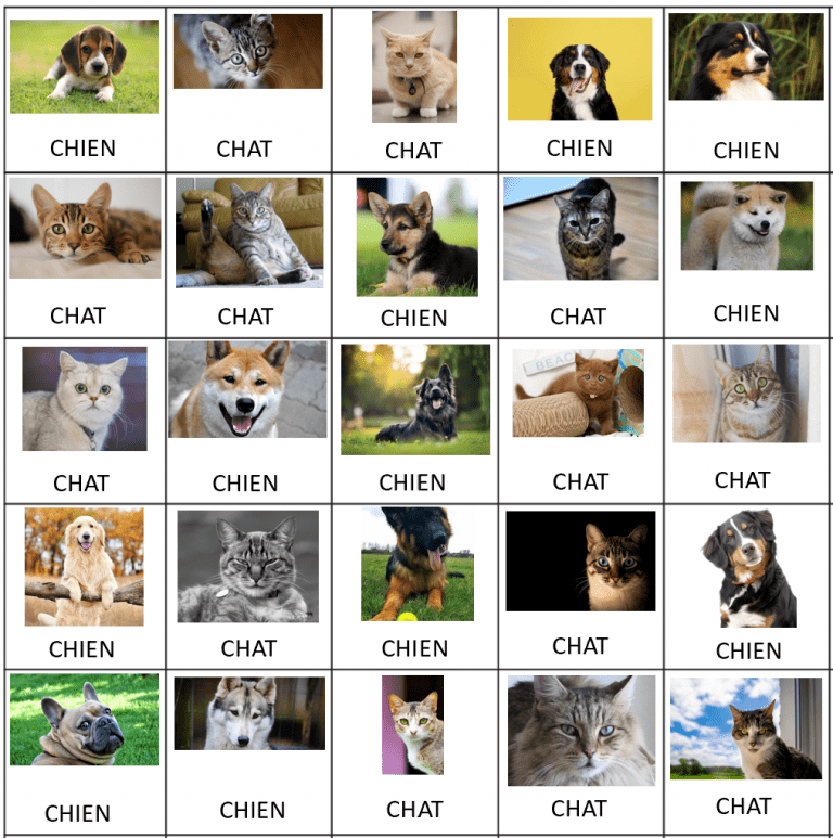 Les types de Machine Learning à savoir - Comprendre rapidement
