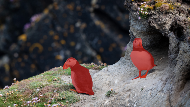 How To Plot A Segmentation Mask Best Tutorial Python